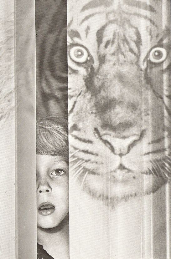 Here There Be Tygers (1968 short story) - Alchetron, the free social ...